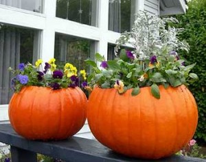 Pumpkins and Your Plumbing | Len The Plumber